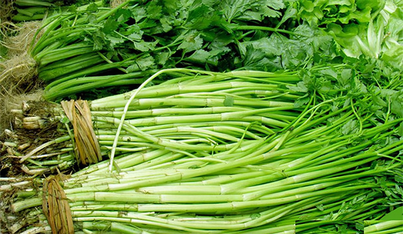 Rau cần có tác dụng gì và cách chế biến rau cần đơn giản